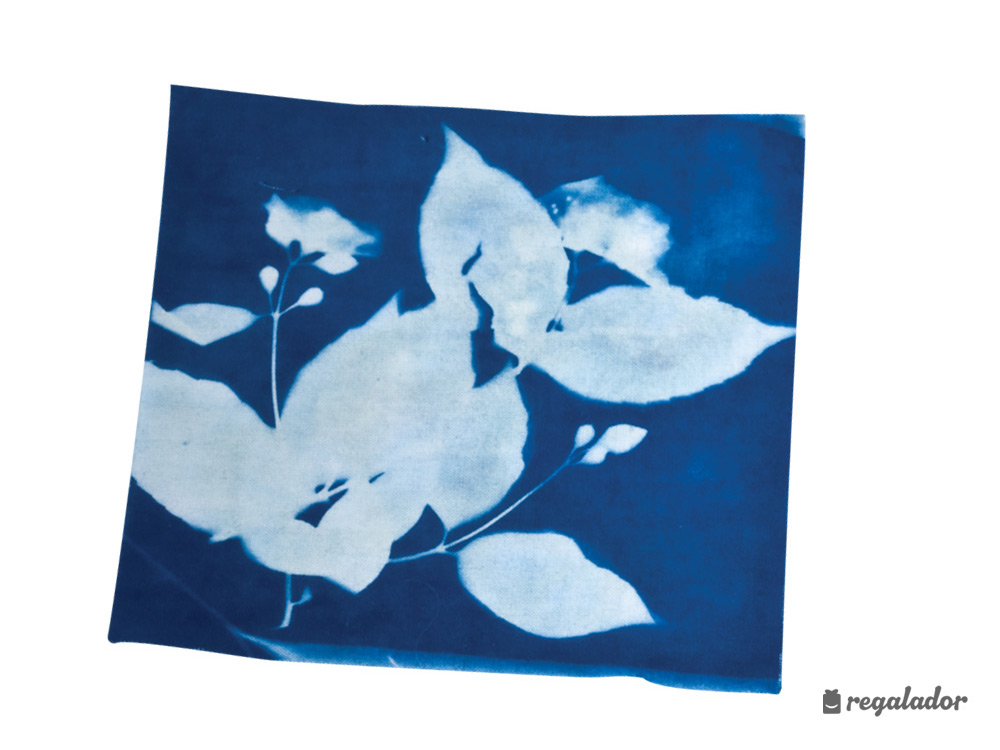 Sunography: Crea fotografías DIY con el poder de la luz en Regalador.com