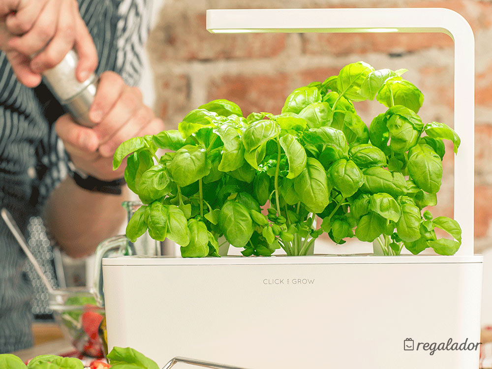 Click & Grow: La maceta inteligente para huertos urbanos | Regalador.com