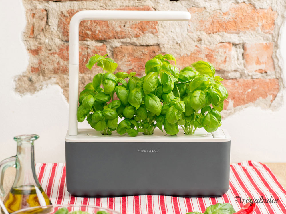 Click & Grow: La maceta inteligente para huertos urbanos | Regalador.com