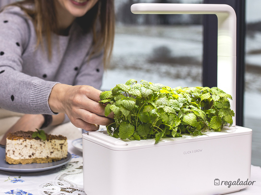 Click & Grow: La maceta inteligente para huertos urbanos | Regalador.com
